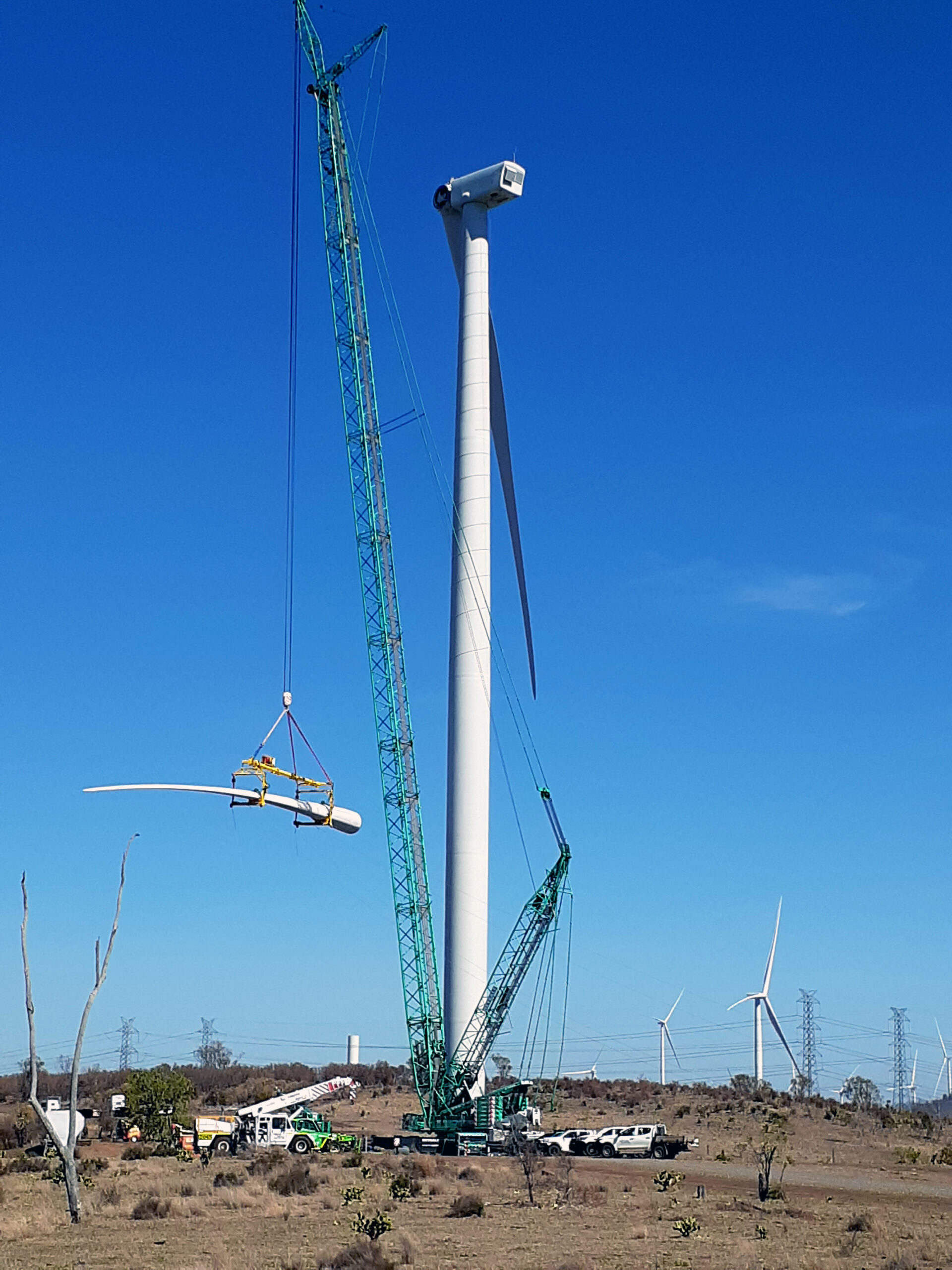 Coopers Gap Wind Farm – CATCON