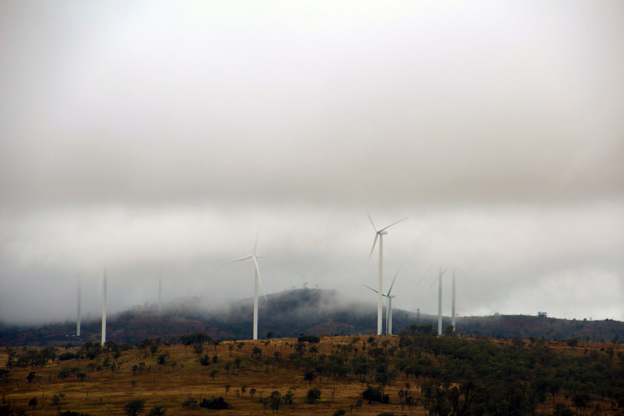 Coopers Gap Wind Farm – CATCON