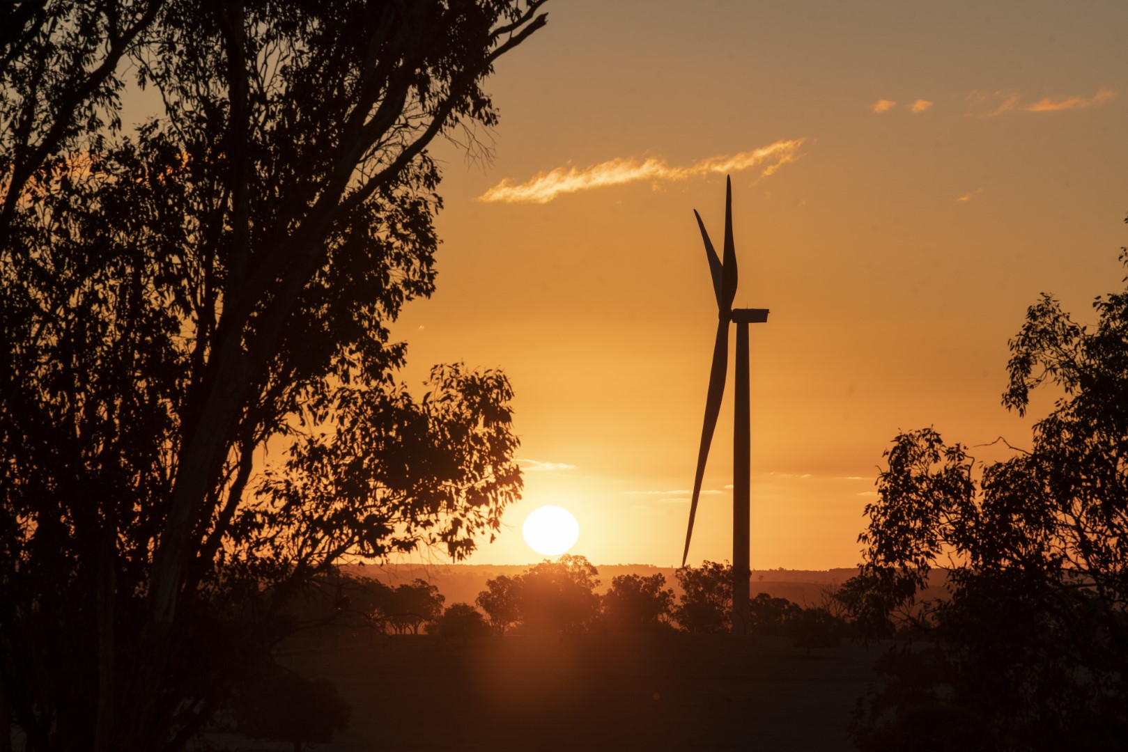 Bodangora Wind Farm – CATCON