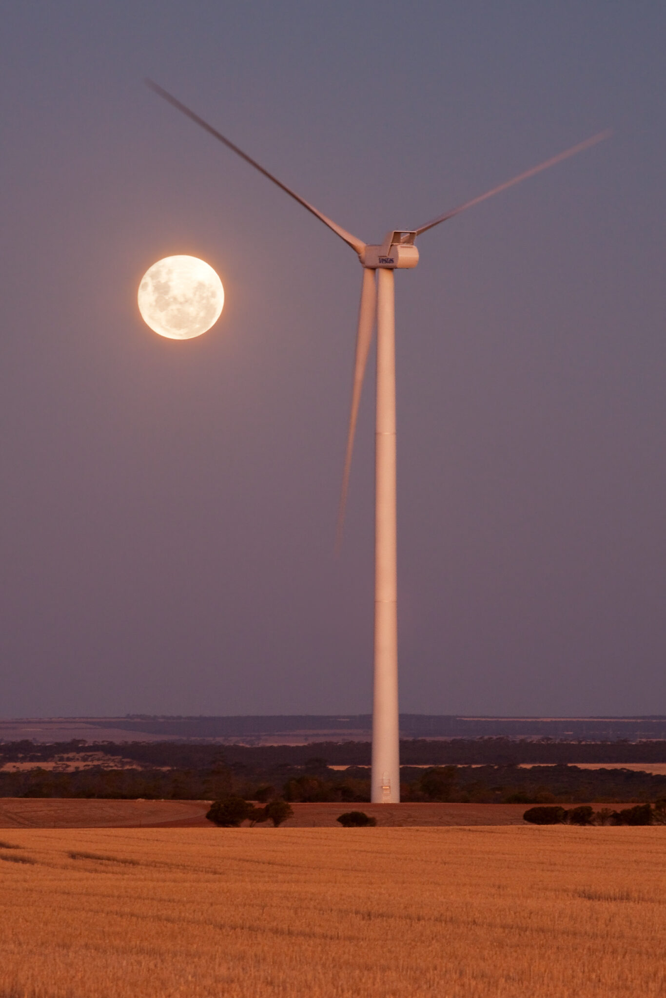 Collgar Wind Farm – CATCON