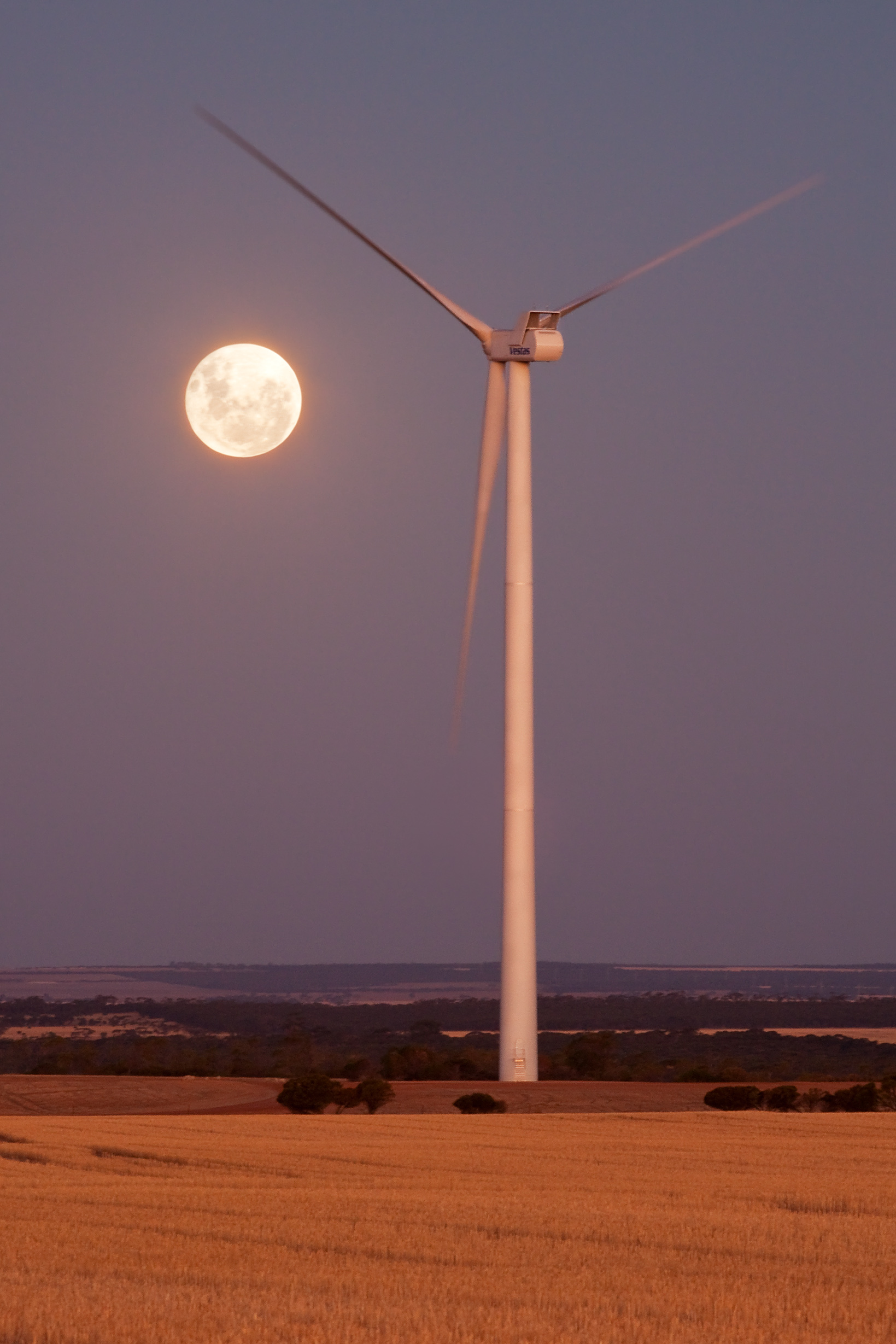 Collgar Wind Farm – CATCON